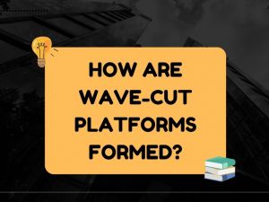 How Are Wave-Cut Platforms Formed | Read With Us